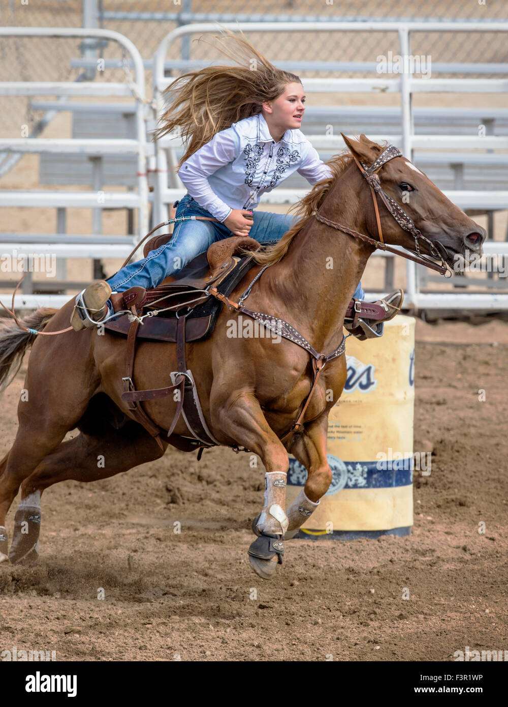 Rodeo cowgirl on horseback competing in barrel racing event, Chaffee ...