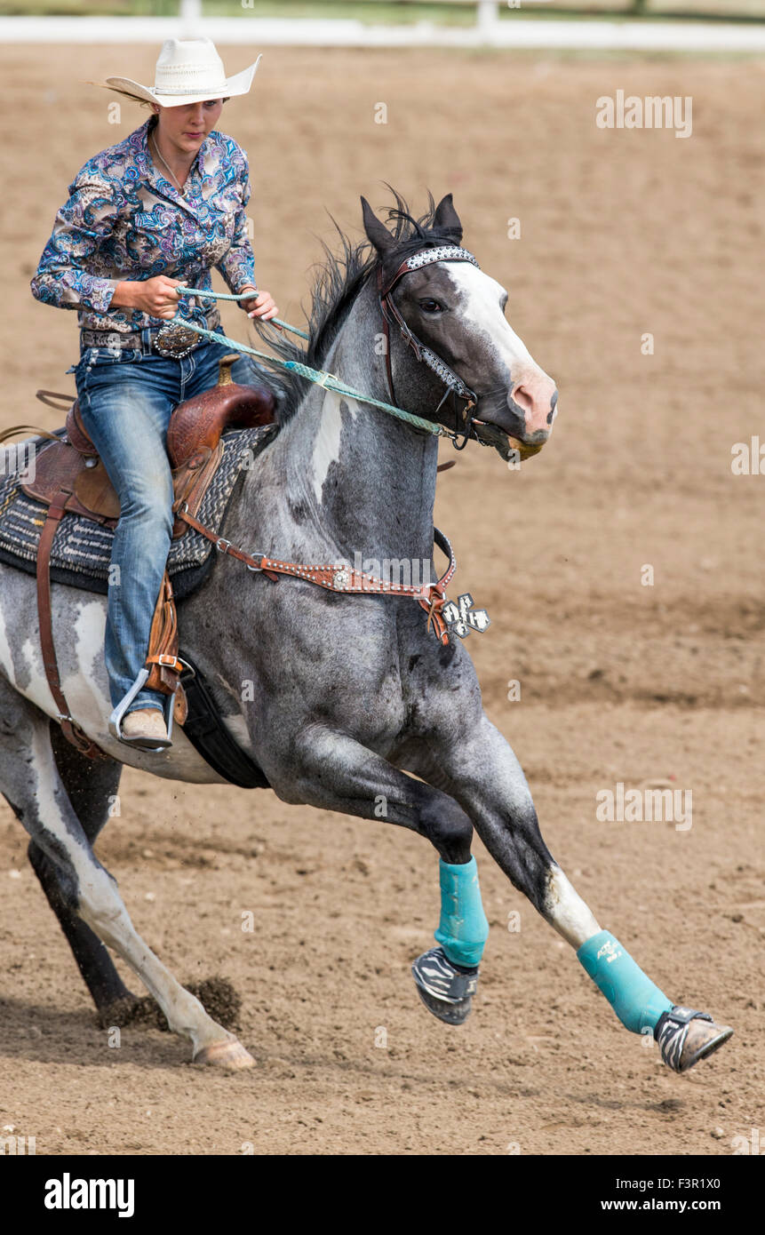 Rodeo cowgirl on horseback competing in barrel racing event, Chaffee ...