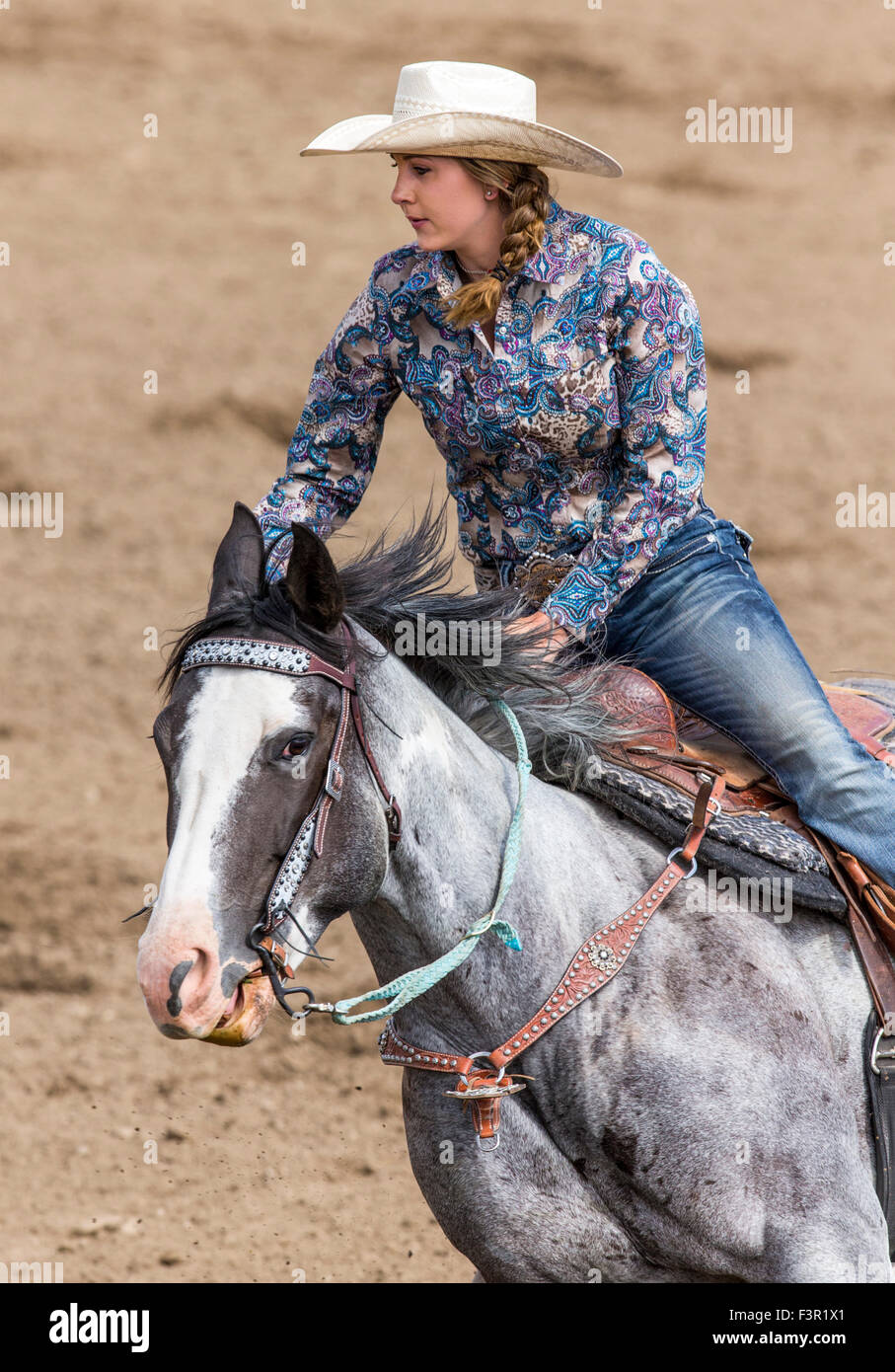 Rodeo cowgirl on horseback competing in barrel racing event, Chaffee ...