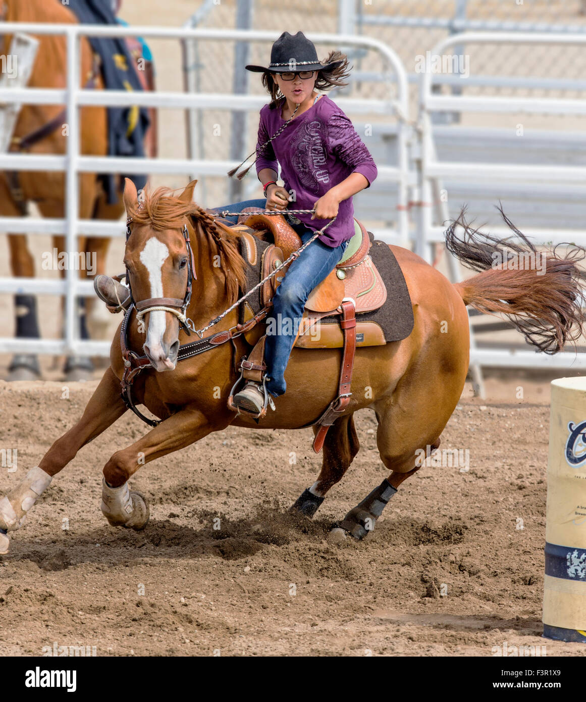 Rodeo cowgirl on horseback competing in barrel racing event, Chaffee ...