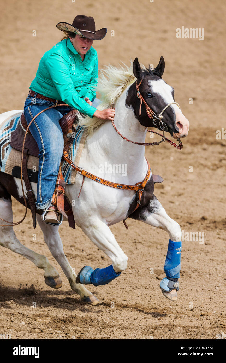 Rodeo cowgirl on horseback competing in barrel racing event, Chaffee ...