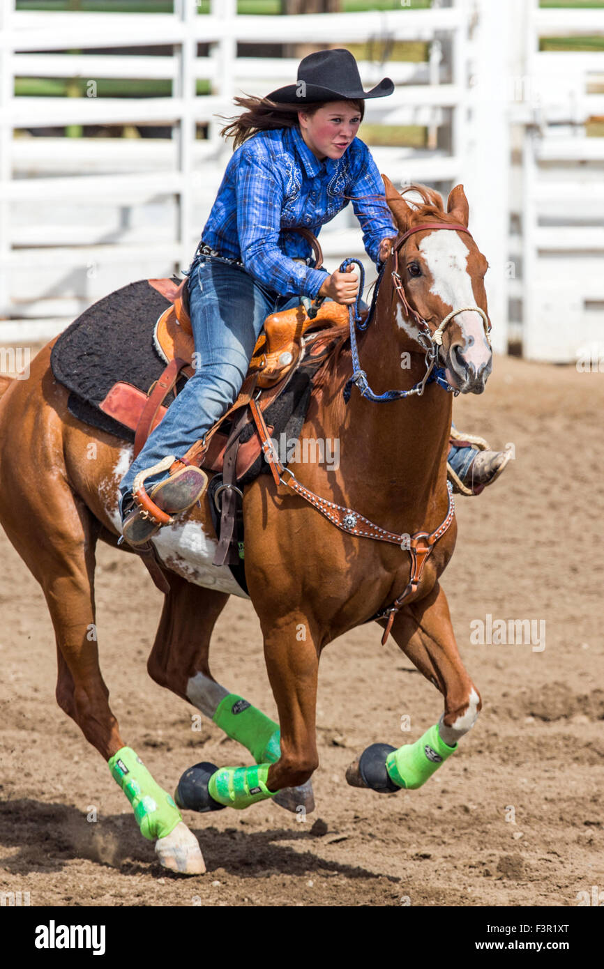 Rodeo cowgirl on horseback competing in barrel racing event, Chaffee ...