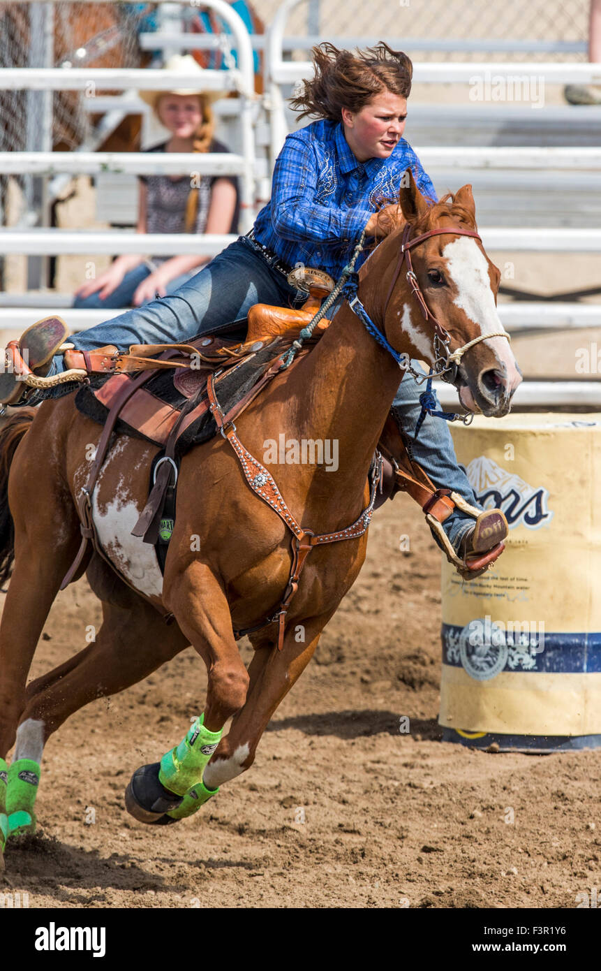 Rodeo cowgirl on horseback competing in barrel racing event, Chaffee ...