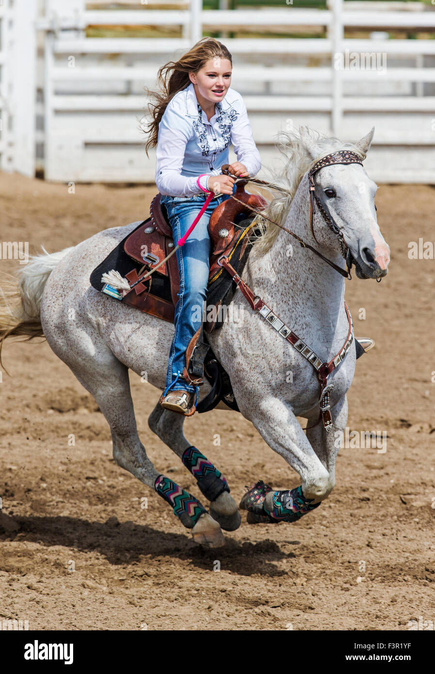 Rodeo cowgirl on horseback competing in barrel racing event, Chaffee ...