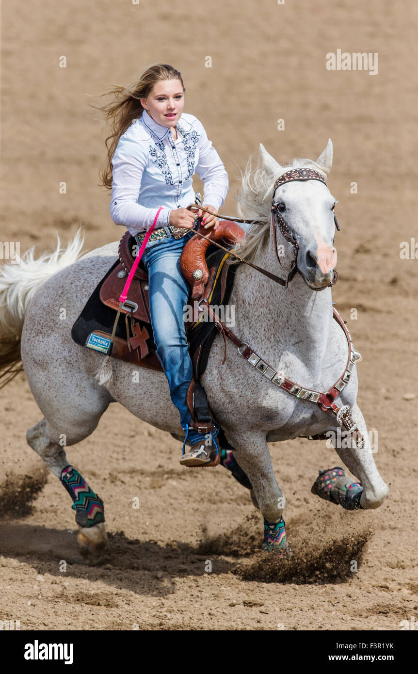Rodeo cowgirl on horseback competing in barrel racing event, Chaffee ...