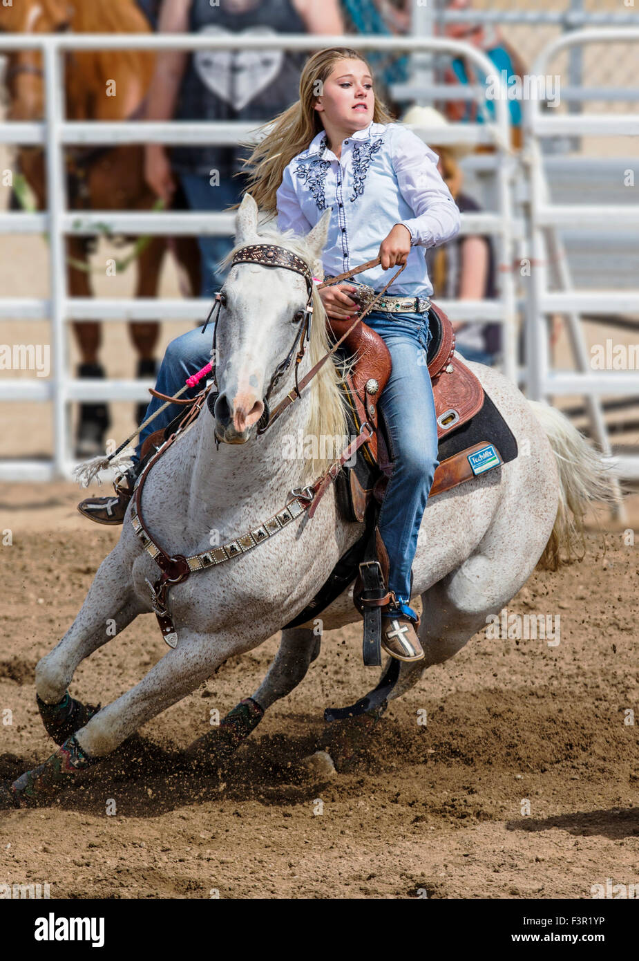 Rodeo cowgirl on horseback competing in barrel racing event, Chaffee ...