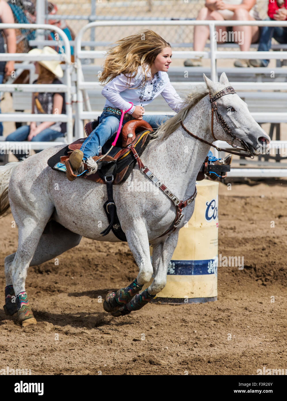 Rodeo cowgirl on horseback competing in barrel racing event, Chaffee ...