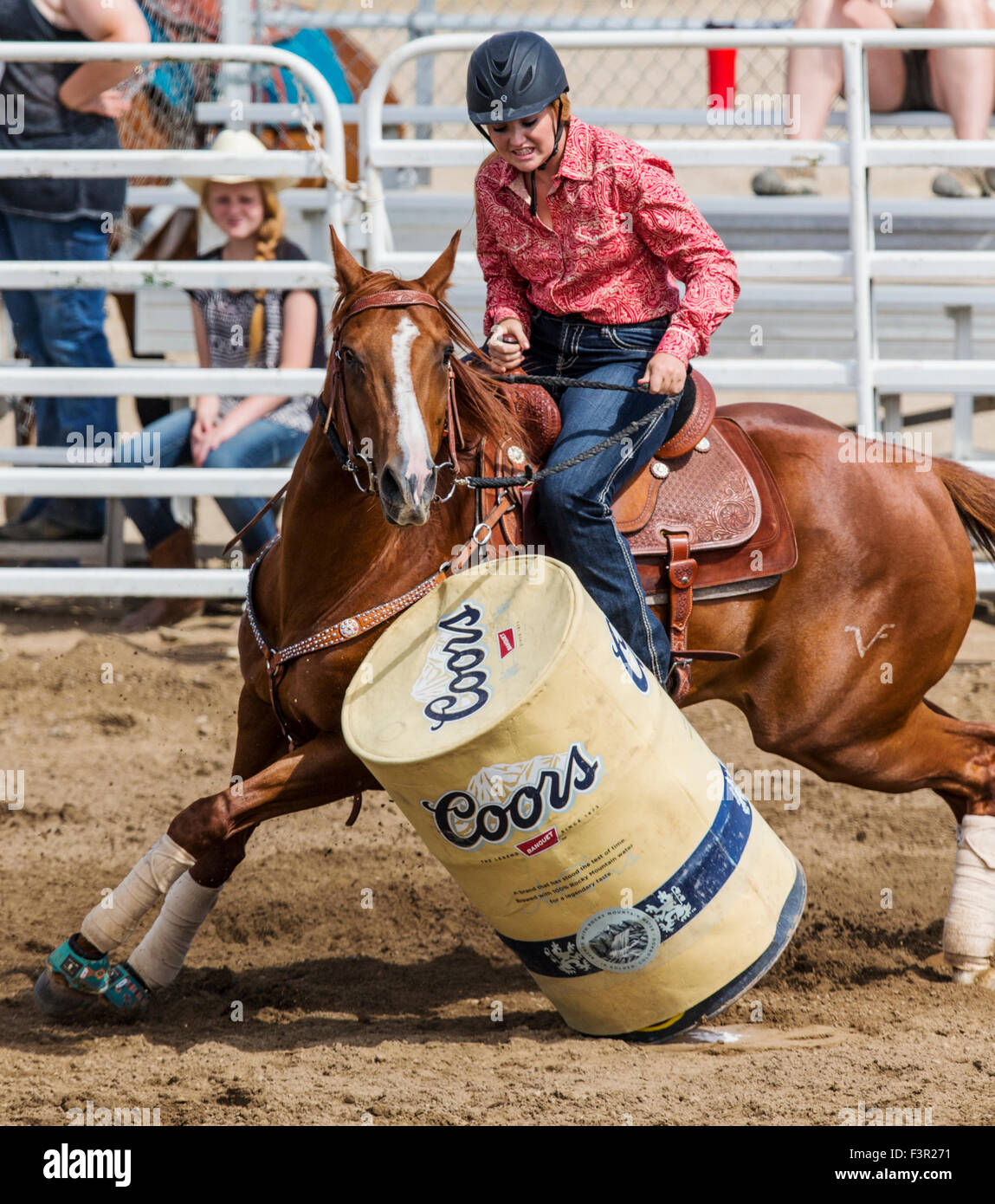 Rodeo cowgirl on horseback competing in barrel racing event, Chaffee ...