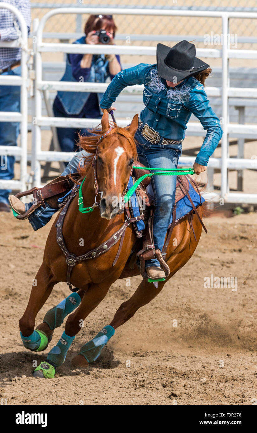 Rodeo cowgirl on horseback competing in barrel racing event, Chaffee ...