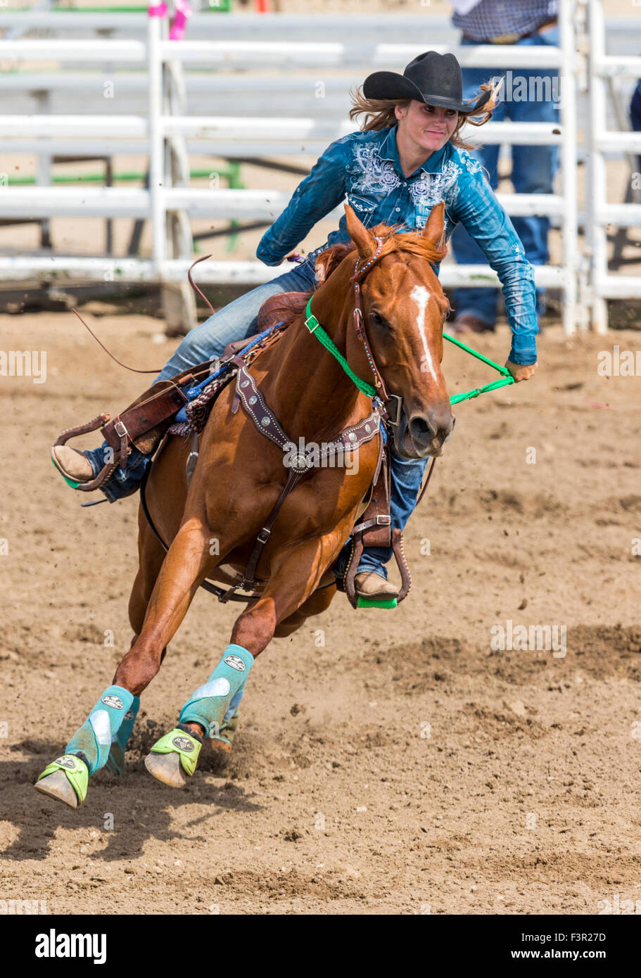Rodeo cowgirl on horseback competing in barrel racing event, Chaffee ...