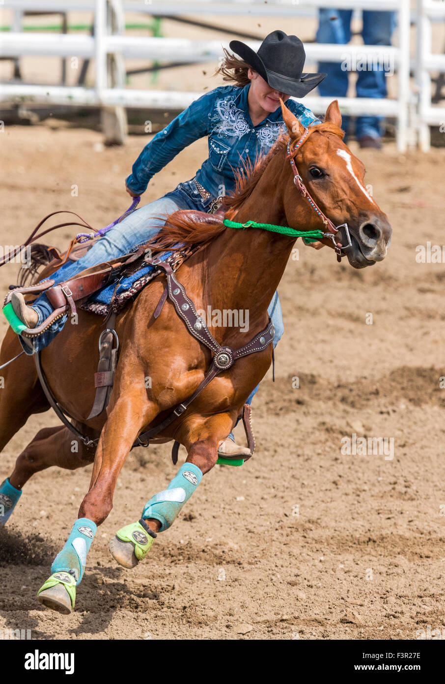 Rodeo cowgirl on horseback competing in barrel racing event, Chaffee ...