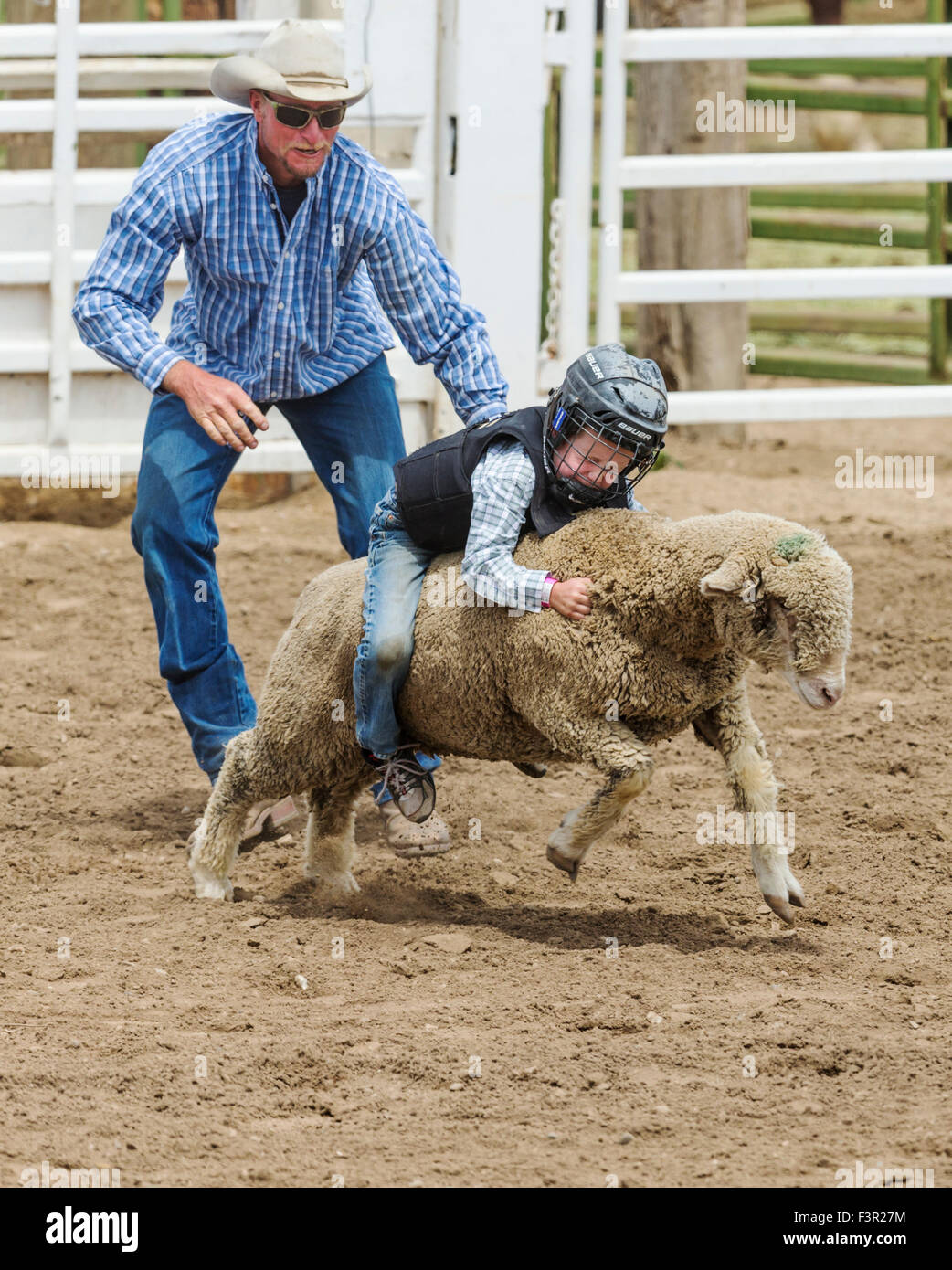 Mutton busting cowgirl riding sheep hi-res stock photography and images ...