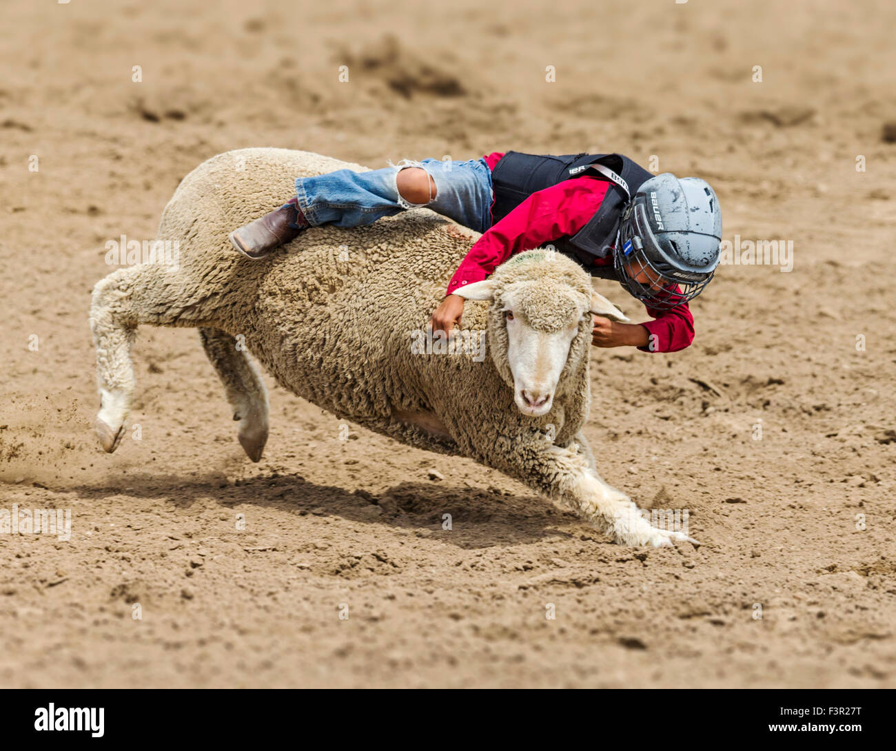 Rodeo mutton bustin hi-res stock photography and images - Alamy