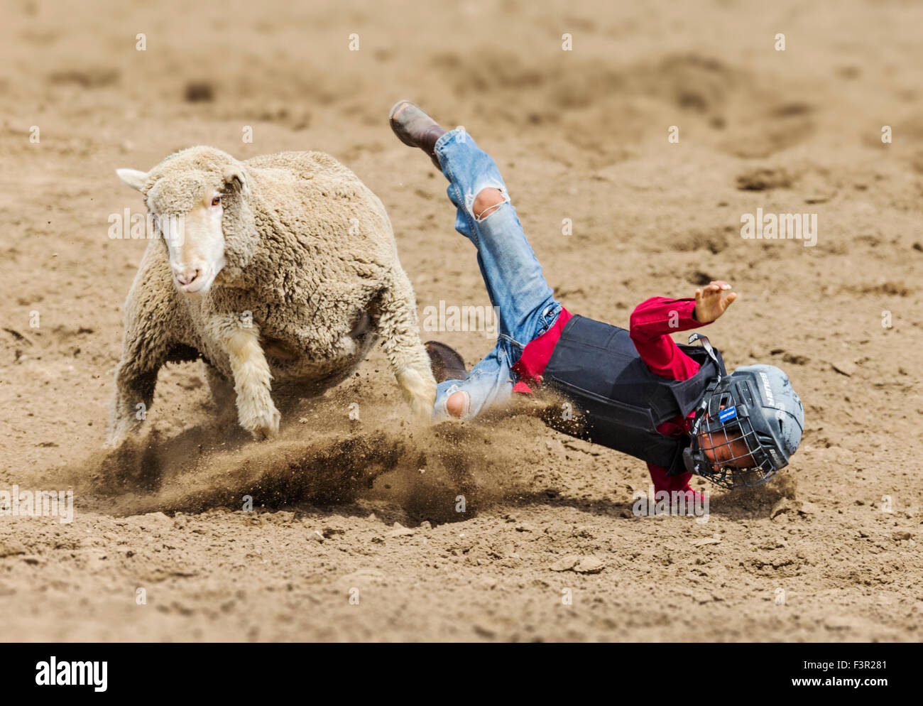 Mutton Busting Cowgirl Riding Sheep High Resolution Stock Photography ...