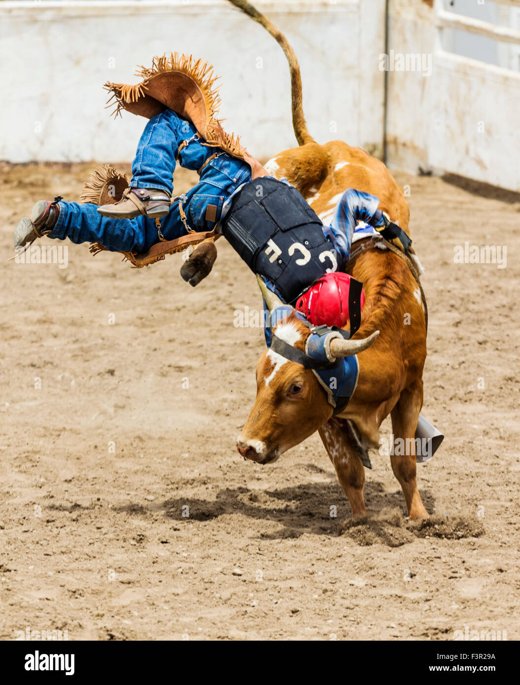 Rodeo horse accident hi-res stock photography and images - Alamy