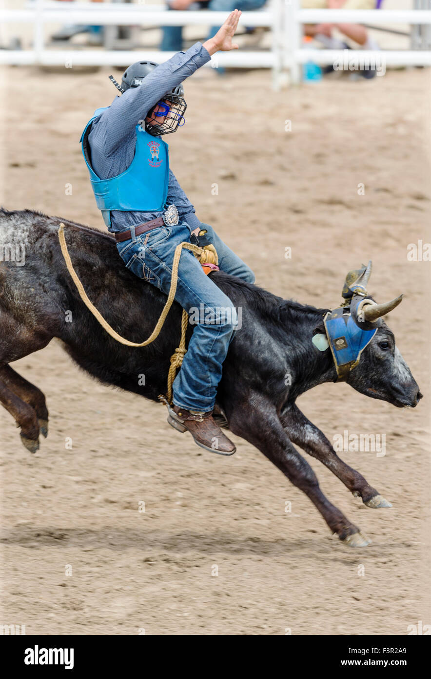 Rodeo horse accident hi-res stock photography and images - Alamy