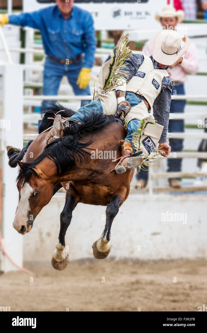 Bucking Bronco Ride Stock High Resolution Stock Photography and Images ...