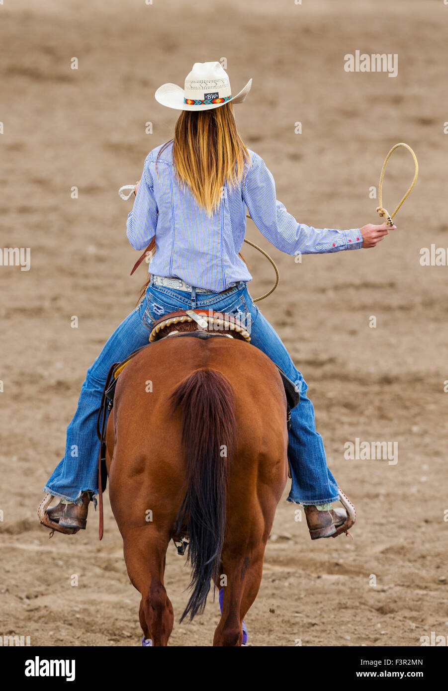 Rodeo cowgirl on horseback competing in calf roping, or tie-down roping ...