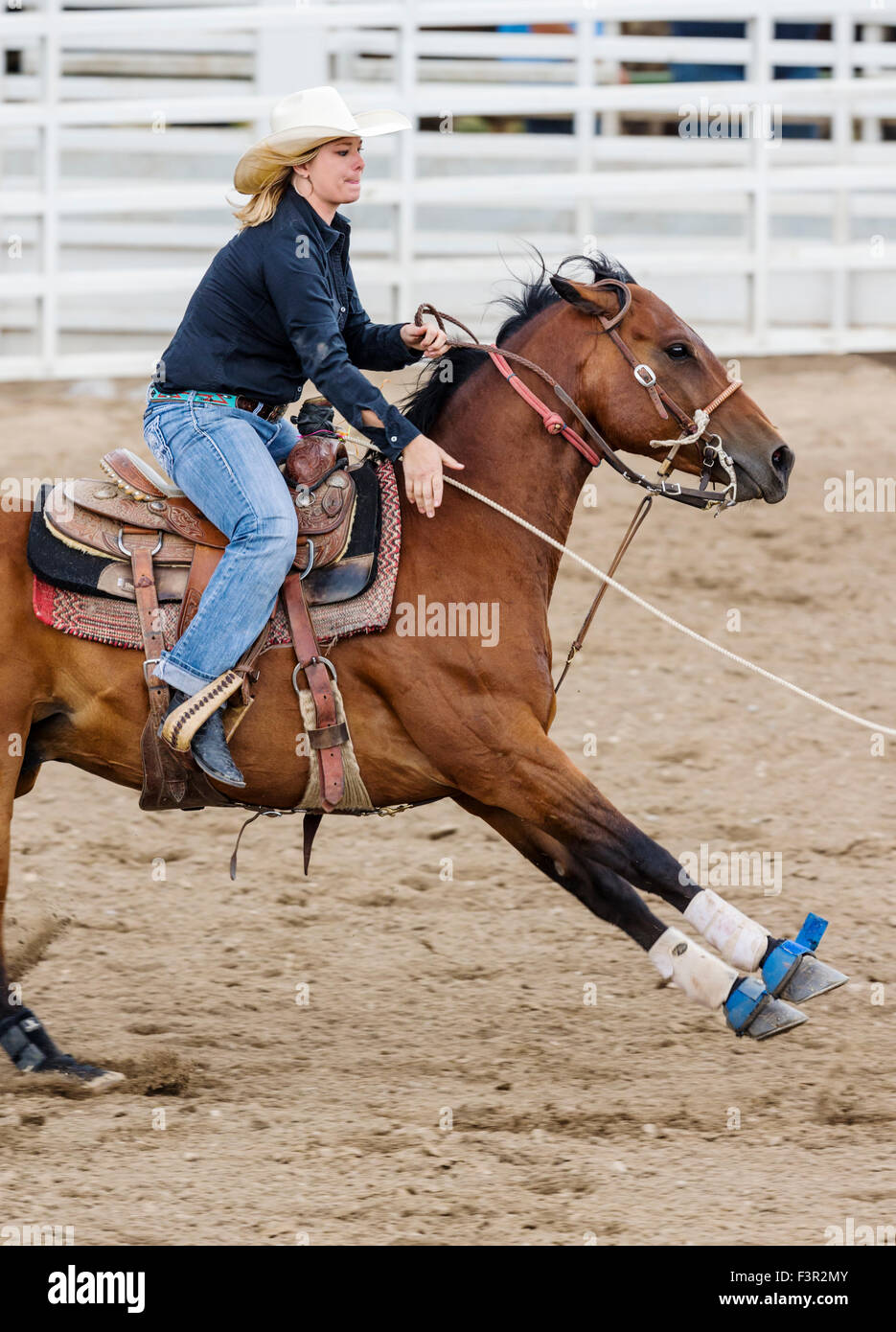 Rodeo cowgirl on horseback competing in calf roping, or tie-down roping ...