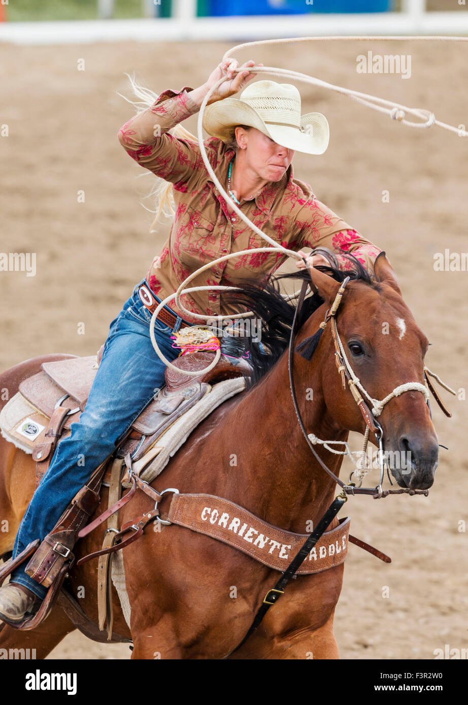 Rodeo cowgirl on horseback competing in calf roping, or tie-down roping ...
