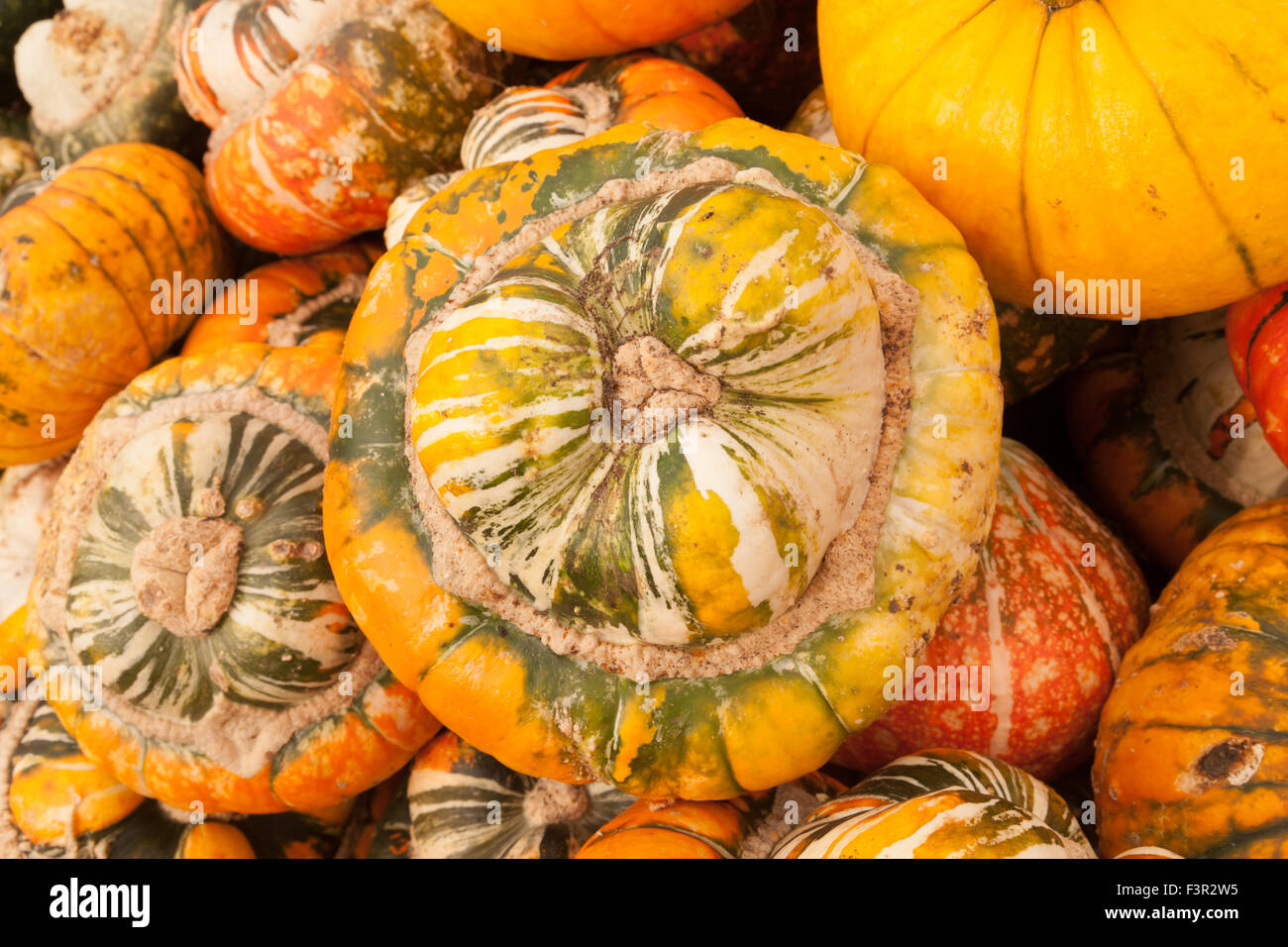 Turks fruit hi-res stock photography and images - Alamy