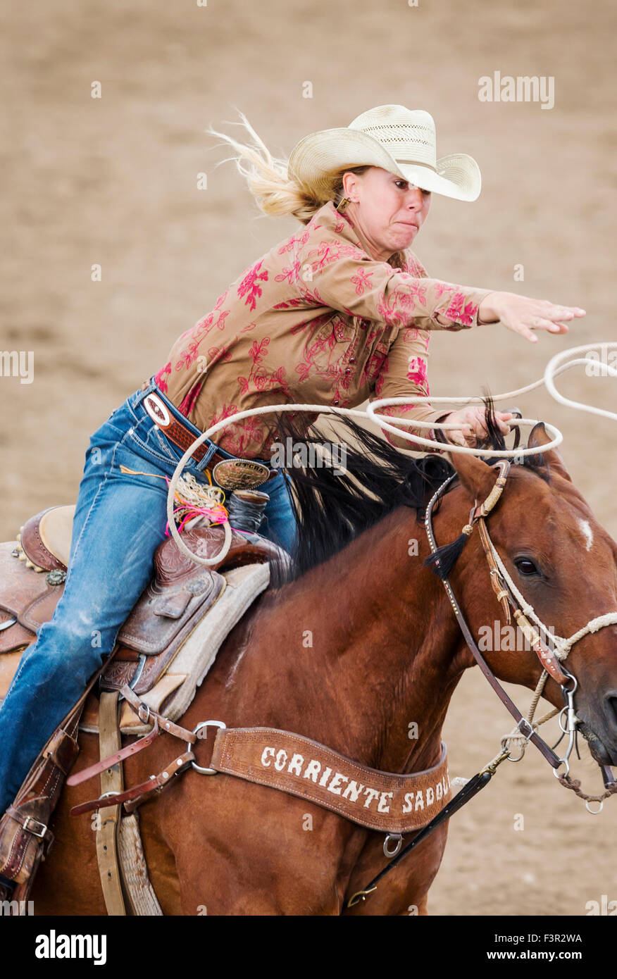 Female rodeo rider hi-res stock photography and images - Alamy