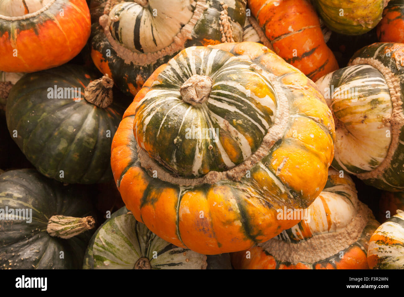Turks Turban gourds for sale in a vegetable stall in a market, UK, in ...