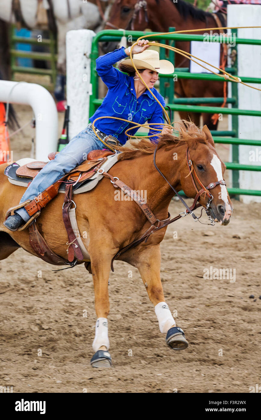 Rodeo cowgirl on horseback competing in calf roping, or tie-down roping ...