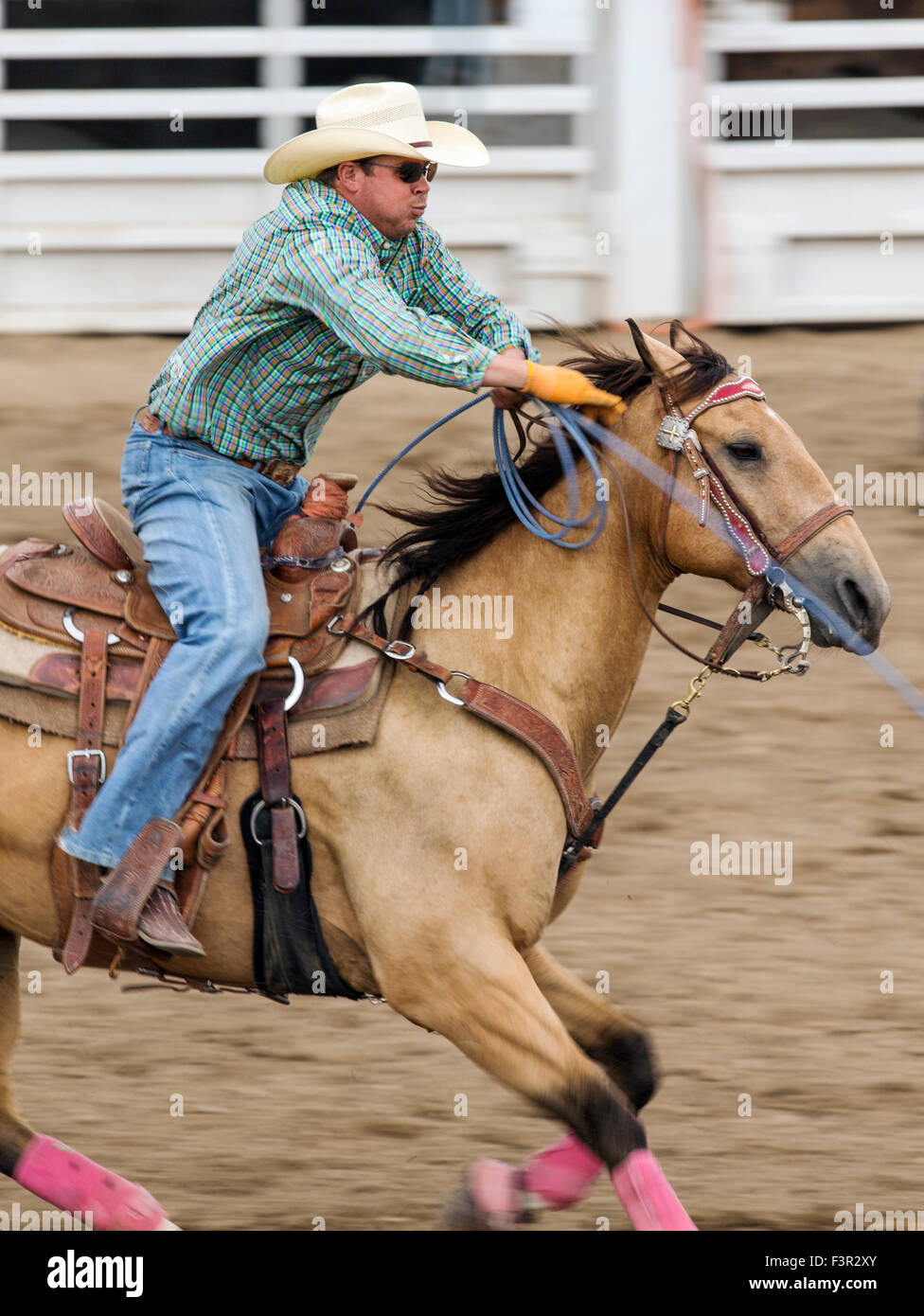 Horse rope hi-res stock photography and images - Alamy