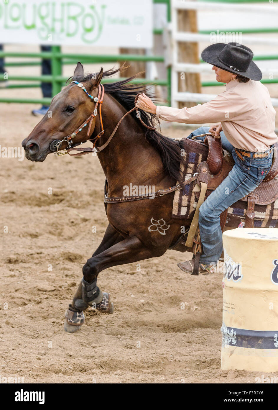 Rodeo cowgirl on horseback competing in barrel racing event, Chaffee ...