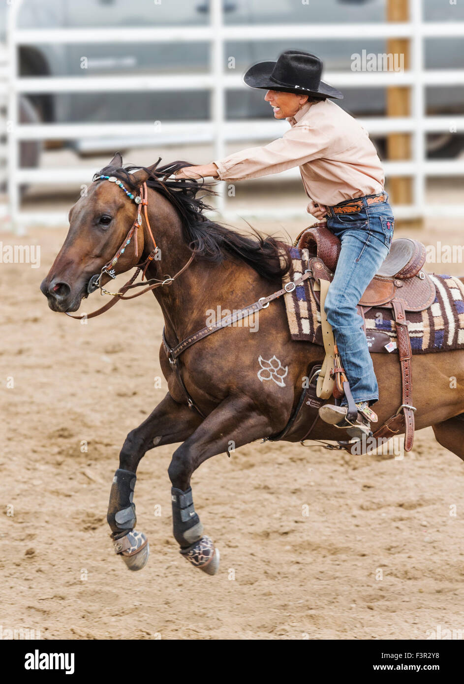Rodeo cowgirl on horseback competing in barrel racing event, Chaffee ...