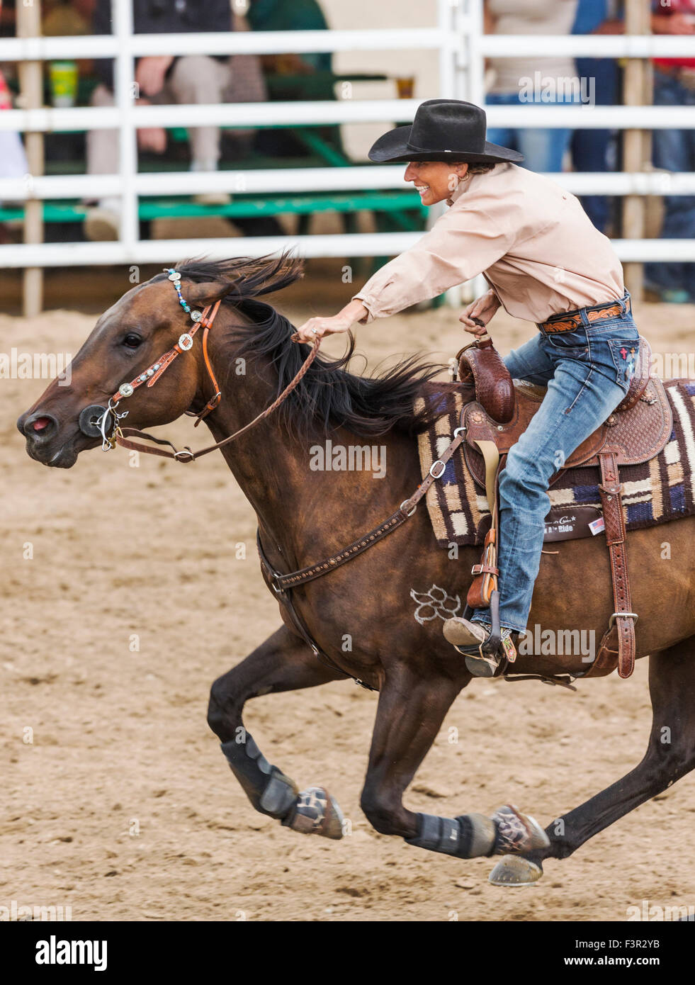 Rodeo cowgirl on horseback competing in barrel racing event, Chaffee ...