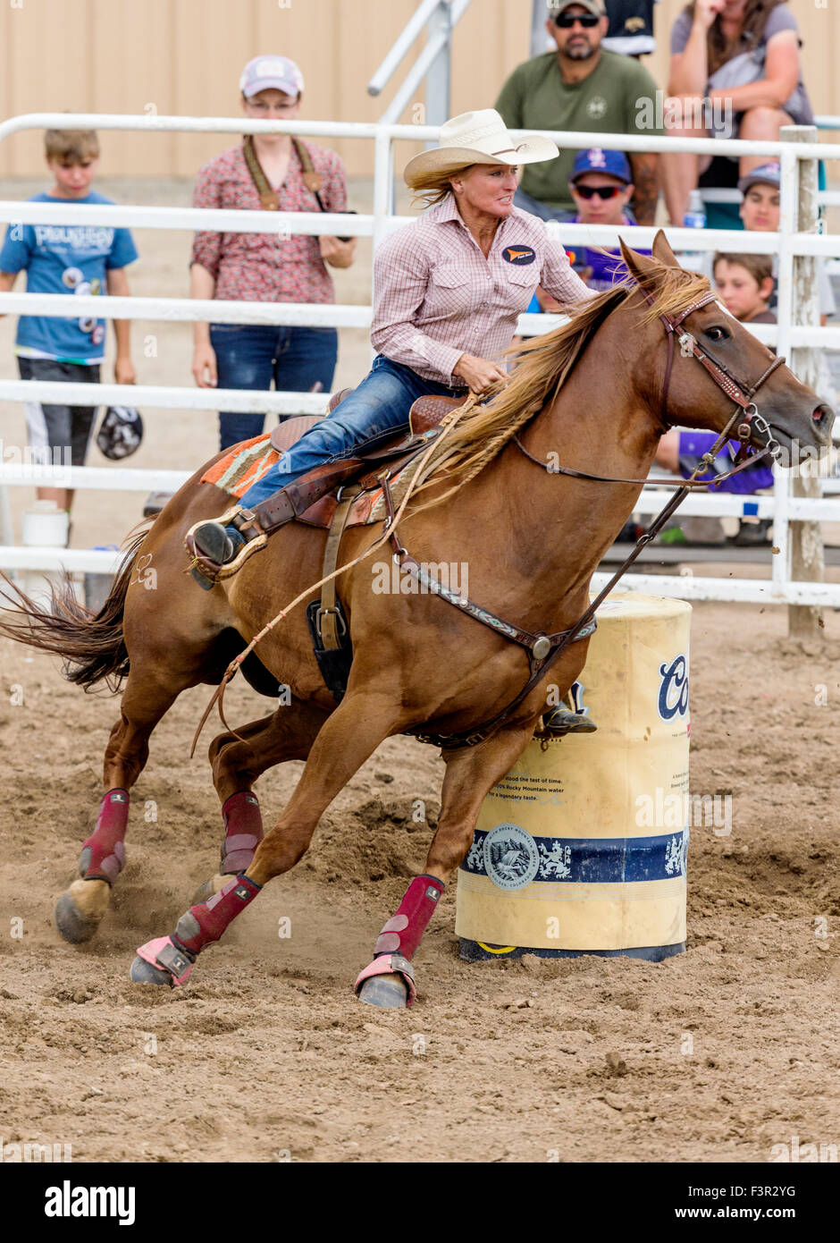 Rodeo cowgirl on horseback competing in barrel racing event, Chaffee ...