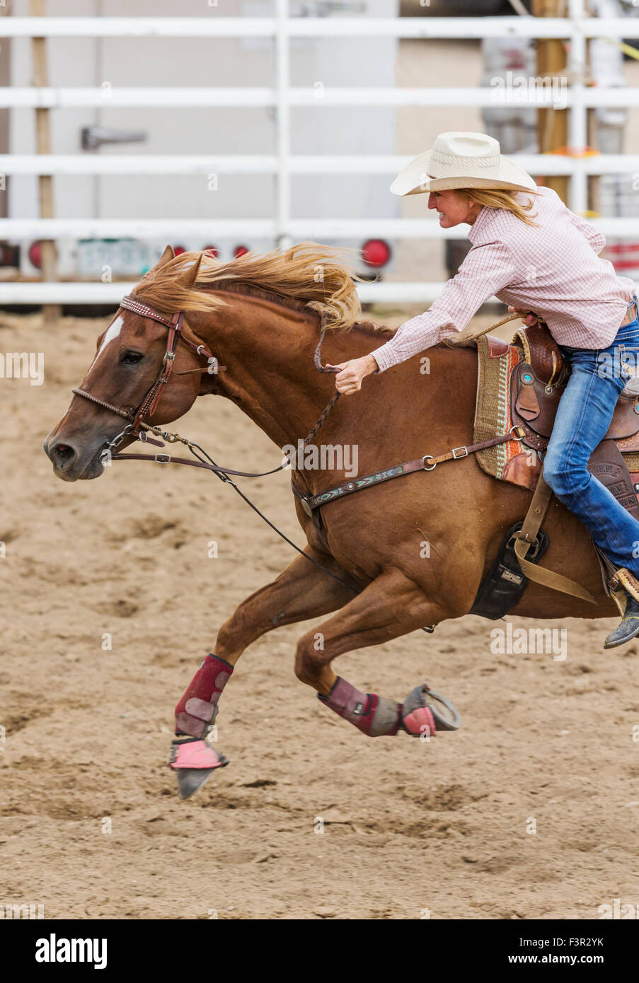 Rodeo cowgirl on horseback competing in barrel racing event, Chaffee ...