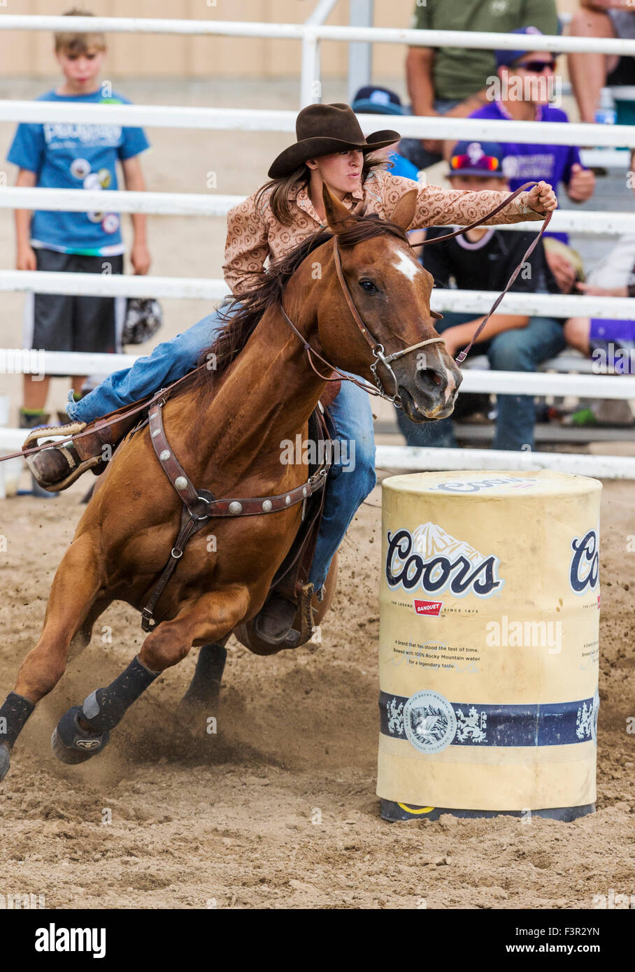 Rodeo cowgirl on horseback competing in barrel racing event, Chaffee ...