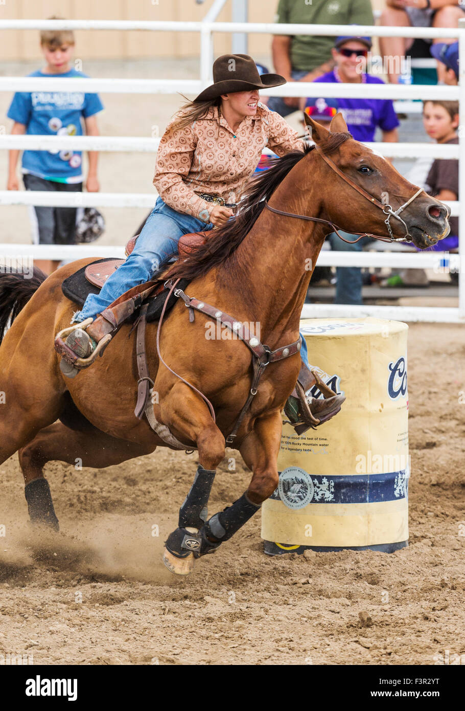 Rodeo cowgirl on horseback competing in barrel racing event, Chaffee ...