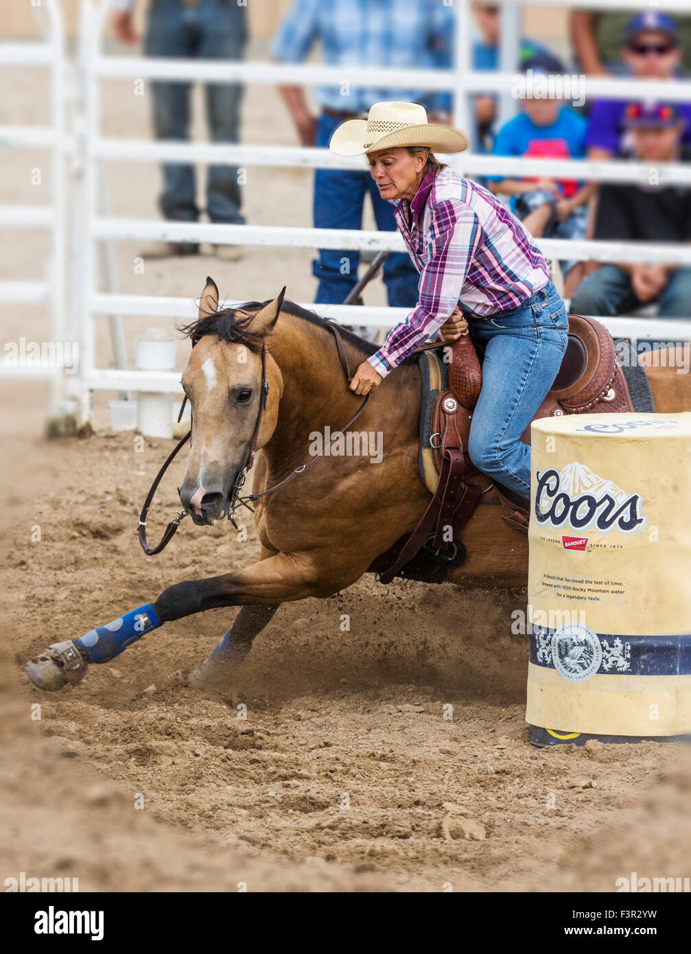 Rodeo cowgirl on horseback competing in barrel racing event, Chaffee ...