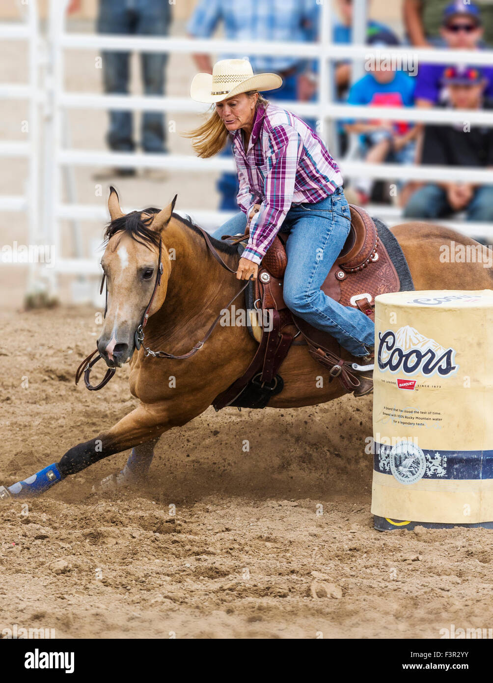 Rodeo cowgirl on horseback competing in barrel racing event, Chaffee ...