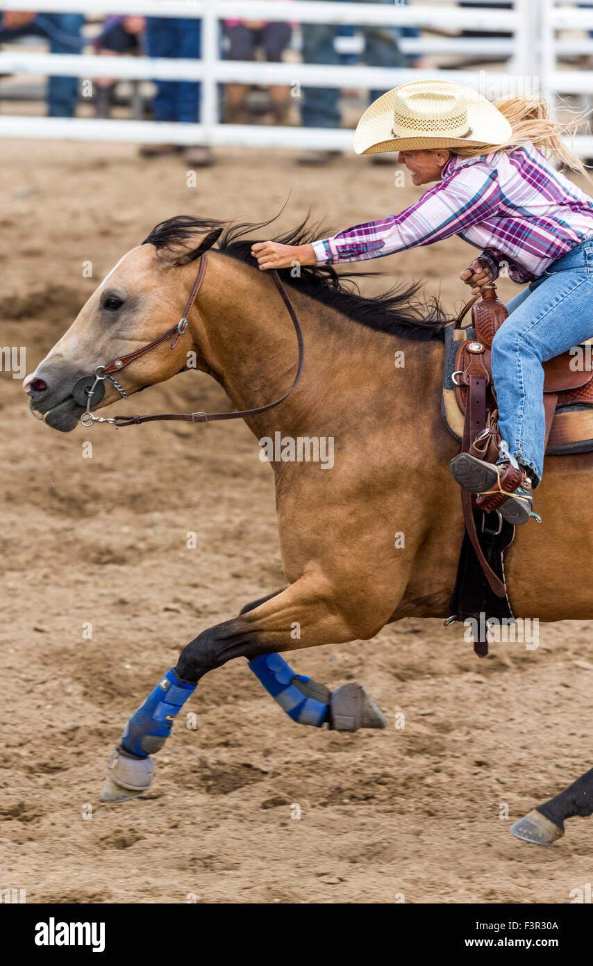 Rodeo cowgirl on horseback competing in barrel racing event, Chaffee ...