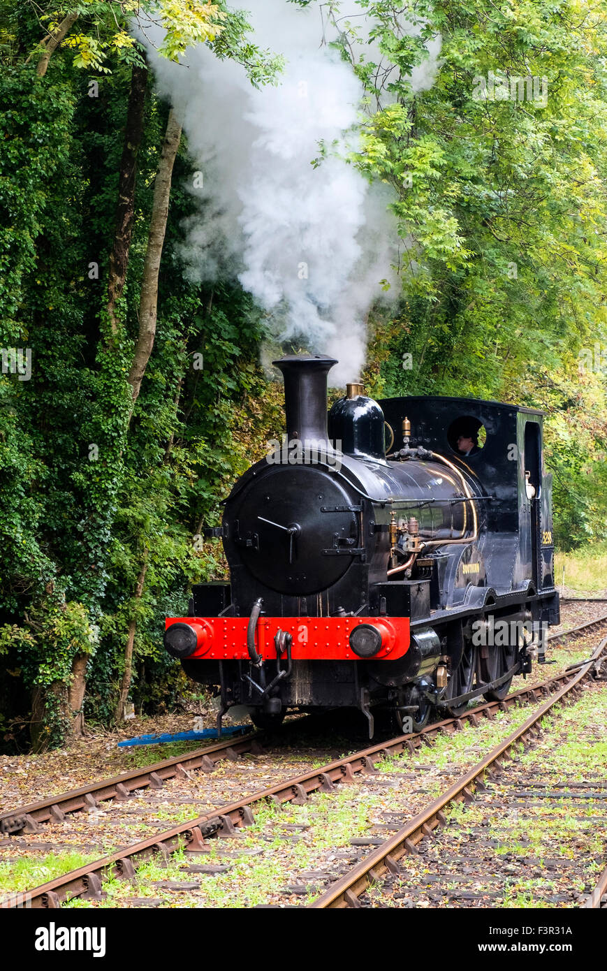 a steam locomotive on the bodmin and wenford steam railway line Stock ...