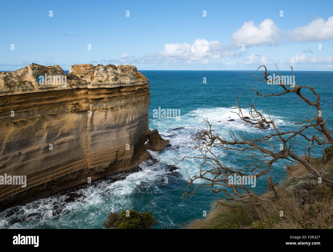 The Razorback limestone rock formation, adjacent to the Great Ocean ...