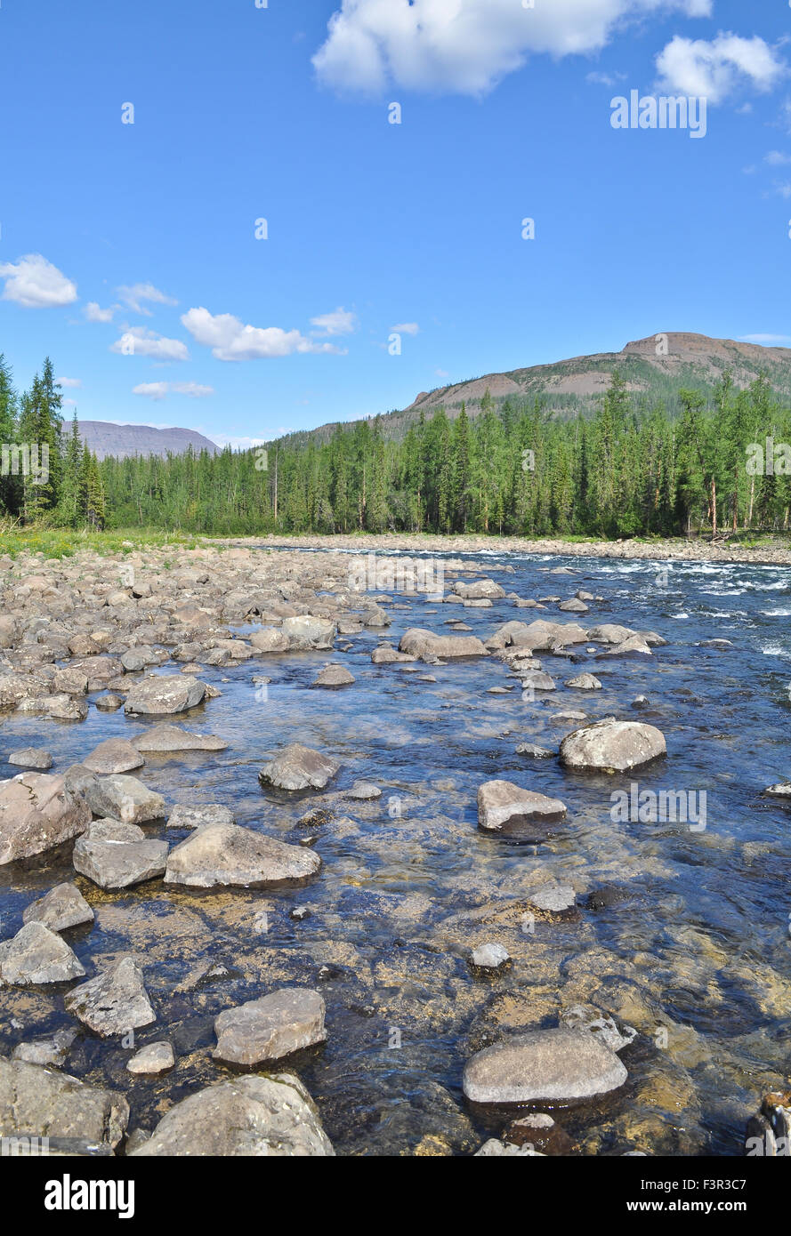 Pebble river Nakta on the Putorana plateau. Water summer landscape of ...