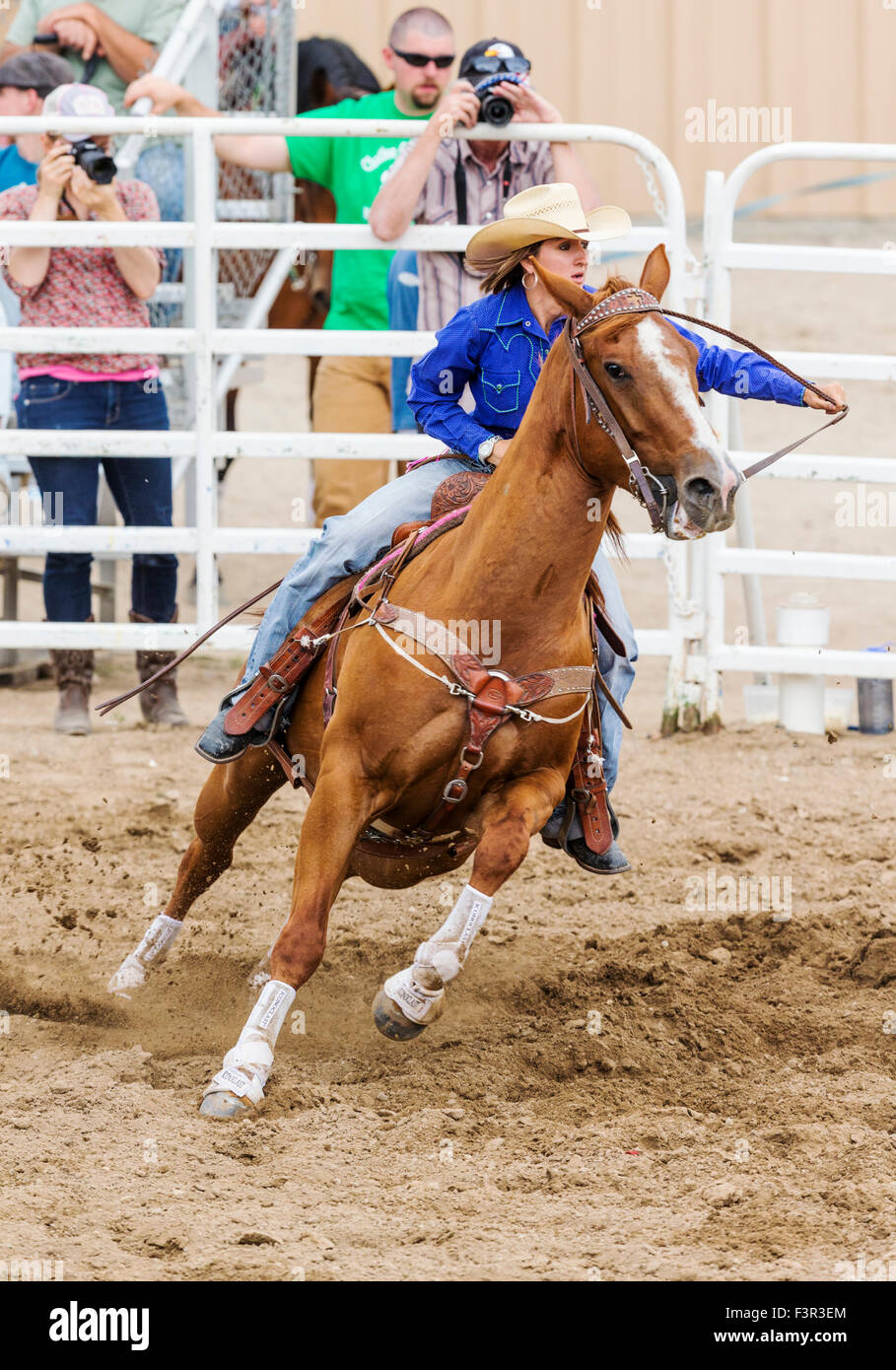 Rodeo cowgirl on horseback competing in barrel racing event, Chaffee ...
