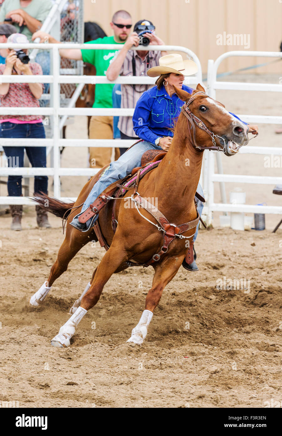 Rodeo cowgirl on horseback competing in barrel racing event, Chaffee ...