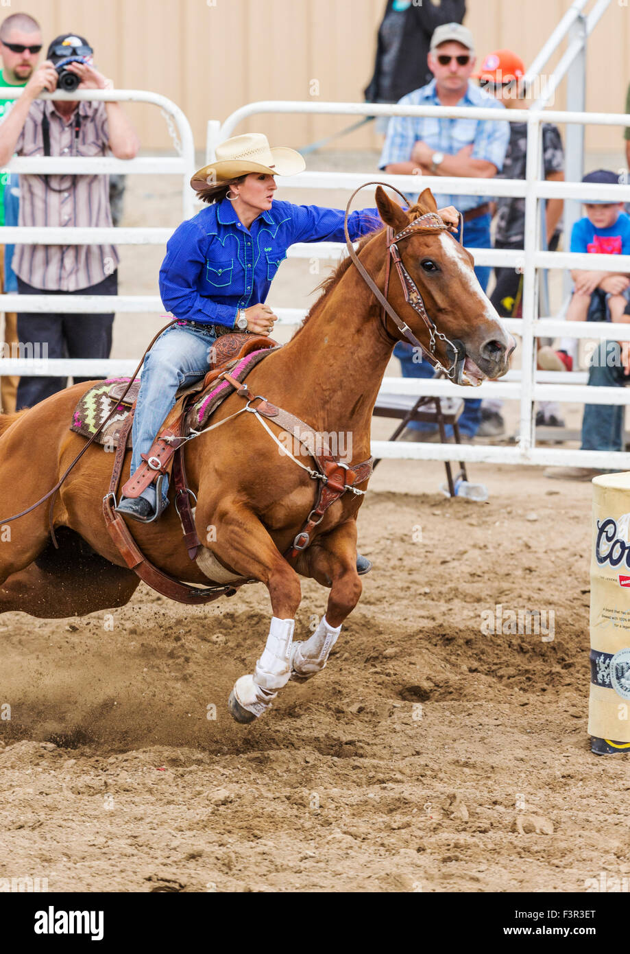 Rodeo cowgirl on horseback competing in barrel racing event, Chaffee ...