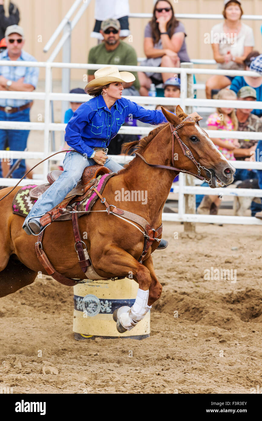 Rodeo cowgirl on horseback competing in barrel racing event, Chaffee ...