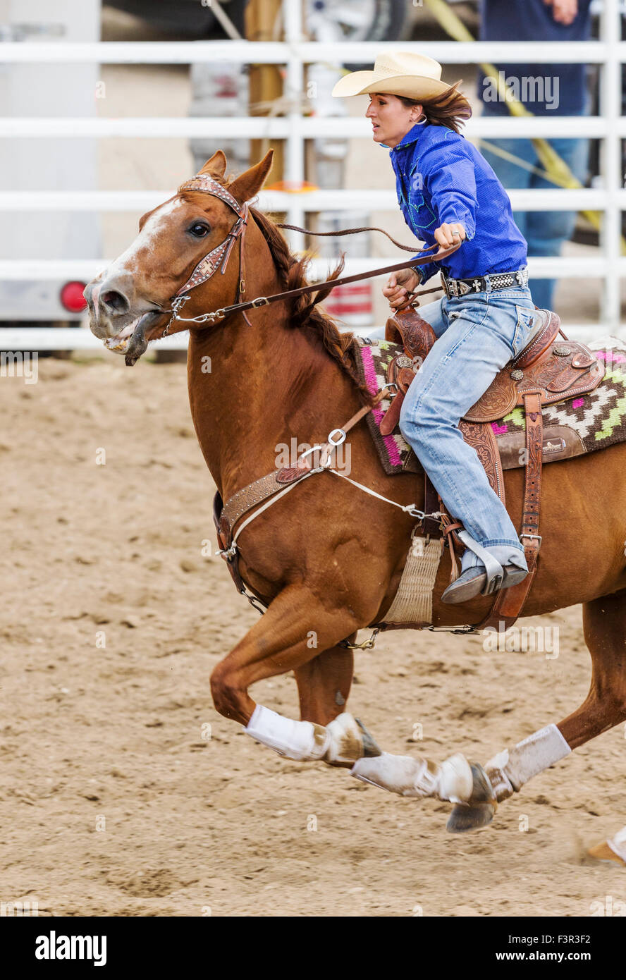 Rodeo cowgirl on horseback competing in barrel racing event, Chaffee ...