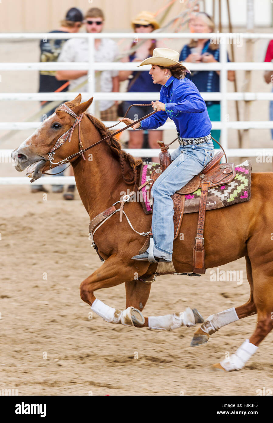 Rodeo cowgirl on horseback competing in barrel racing event, Chaffee ...