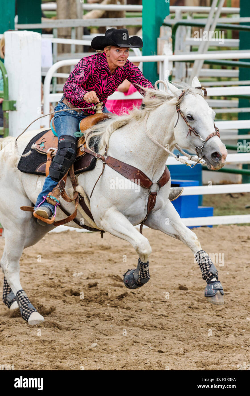 Rodeo cowgirl on horseback competing in barrel racing event, Chaffee ...
