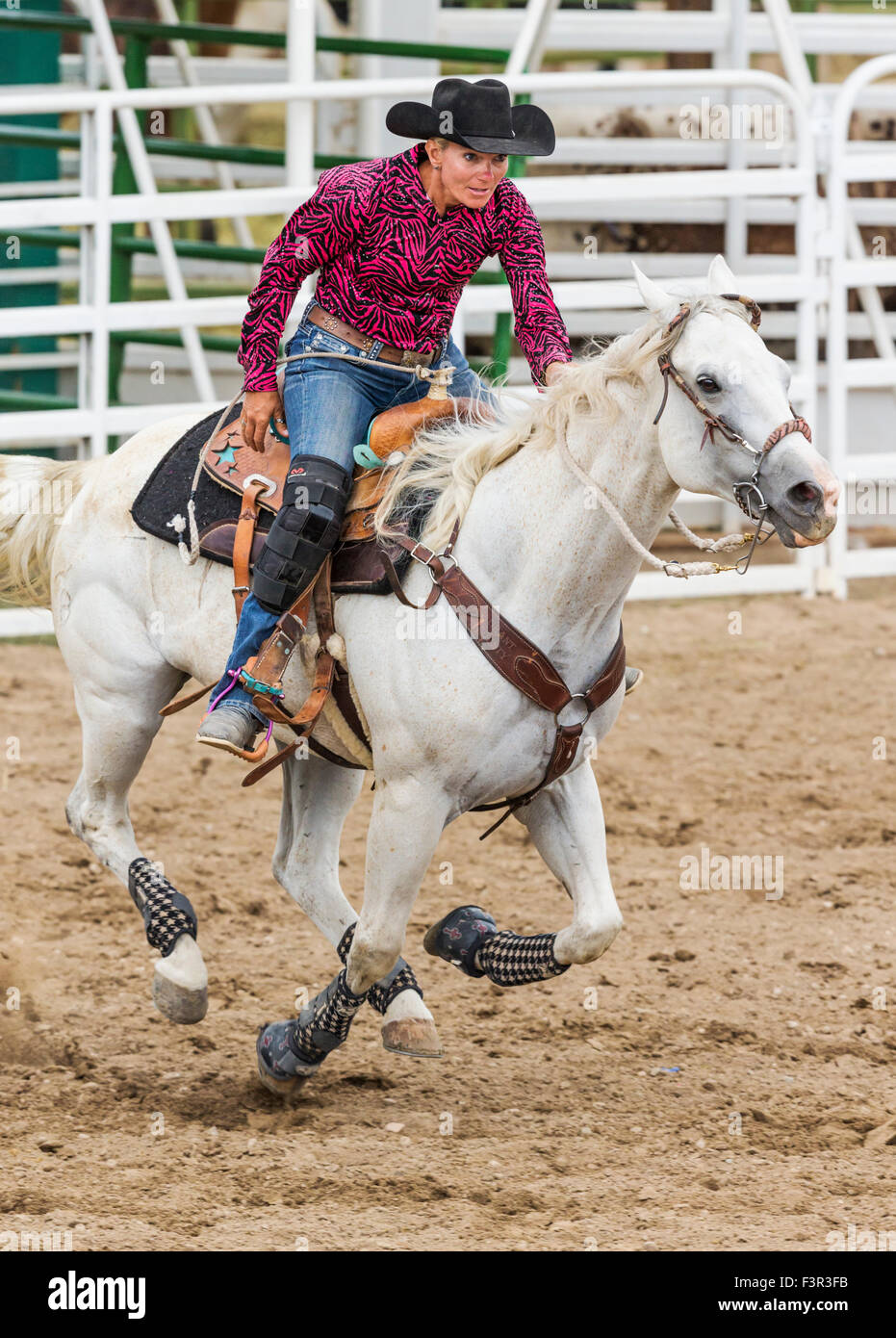Rodeo cowgirl on horseback competing in barrel racing event, Chaffee ...